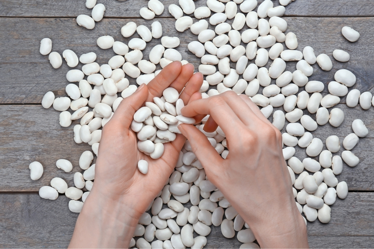 Butter Beans: A Comprehensive Guide to Benefits & Uses